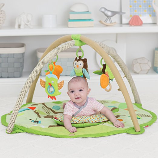 Skip Hop Treetop Friends Activity Gym Review